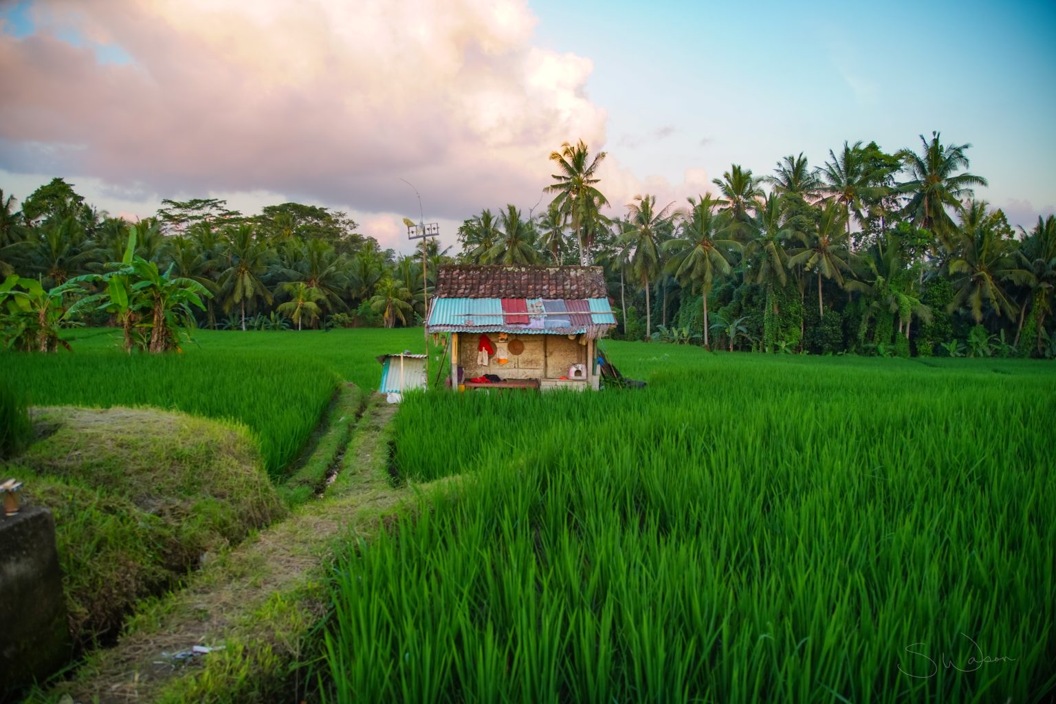 Bali - Laid Off Traveler